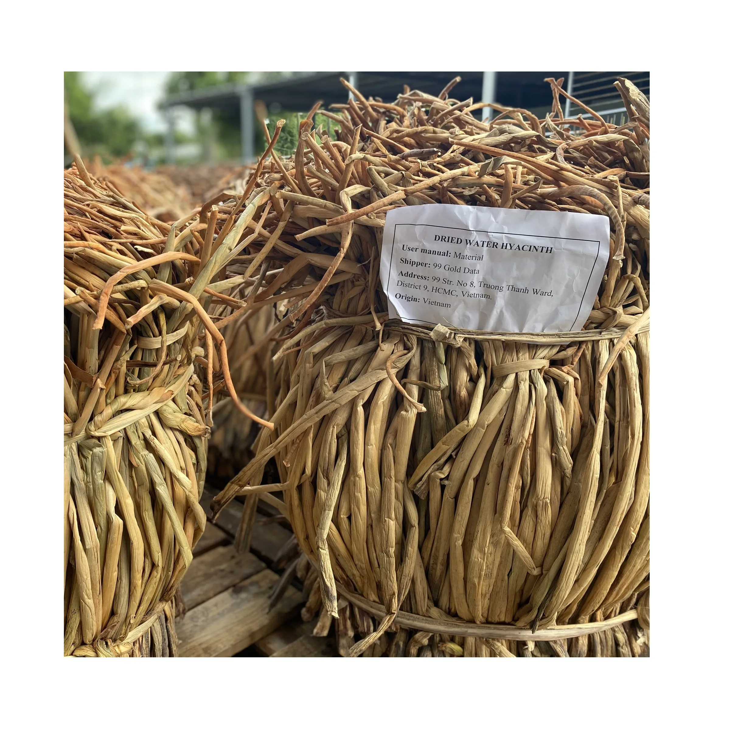 Wholesale Vietnam Water Hyacinth Material For Furniture And Handicraft ...