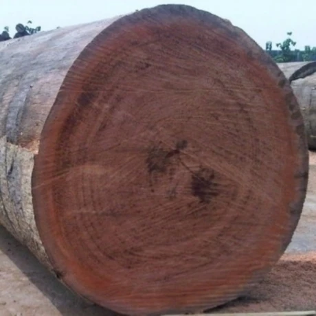 High Quality Round Teak Wood,Tali Wood,Padouk,Pine,Boxwood,Azobe Wood ...