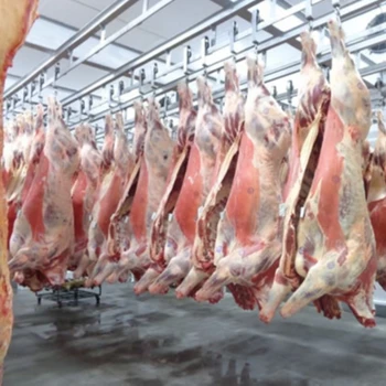 Processed Frozen Beef Meat - Buy Wholesale Beef Tallow Halal Salted ...