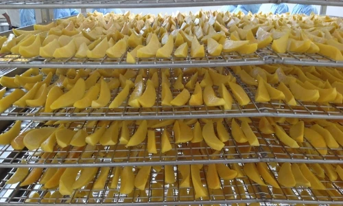 Vietnam Dried Mango Golden Sweet Slices Premium Grade Excellent Quality ...