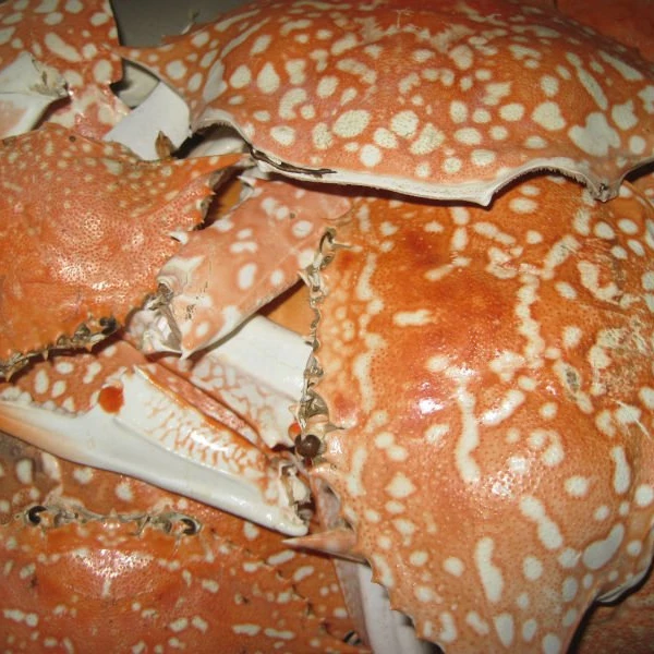 Alibaba.com: Vietnamese Blue Crab Shell Dried Variety from Vietnam ...