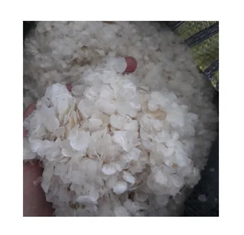 High Quality Dried Fish Scales - Special Seafood From Vietnam / Ms ...