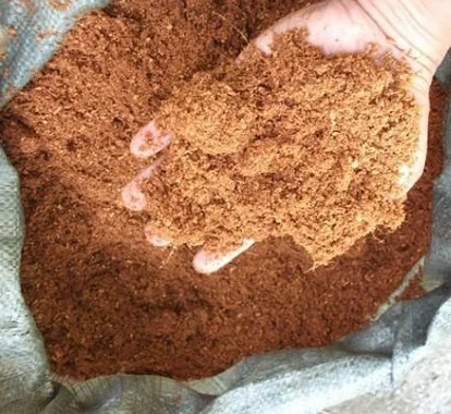 Palm Kernel Cake(PKC)/Palm Kernel Expeller(PKE)/Palm Kernel Meal(PKM ...