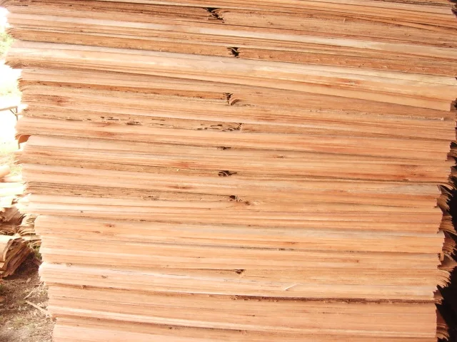 High Quality Acacia/ Eucaluptus/ Rubber Core Veneer From Viet Nam ...