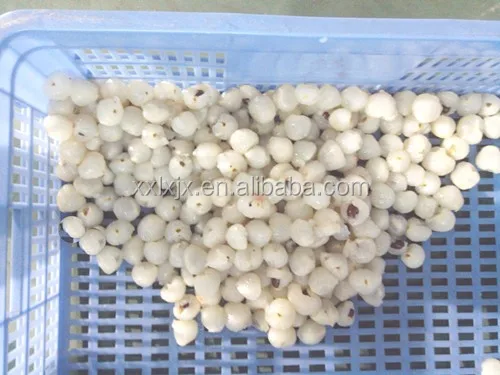 Rambutan Peeling And Pitting Machine Pre-treatment Production Line Peel ...
