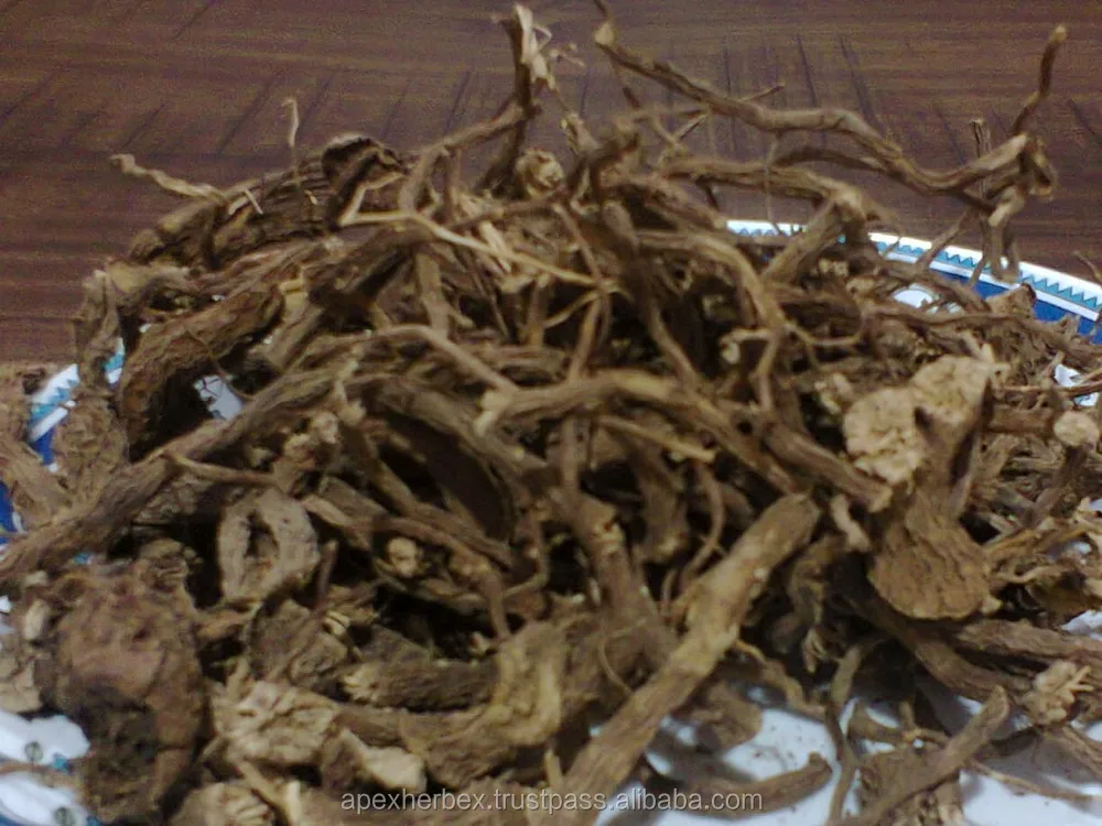 Coleus Forskohlii - Dried Forskohlii Root by Apex