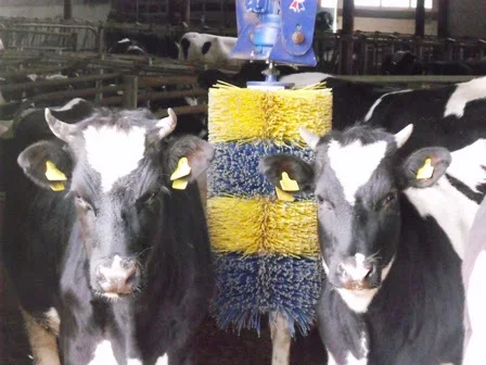 Cow Scratching Machine For Farms From Turkey - Buy Cow Scratching ...