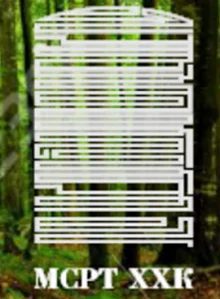 Company Overview - MCPT LLC