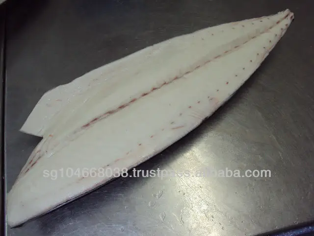 Frozen Fish Fresh Tilapia Supplier Block Bulk Style Packaging Package ...