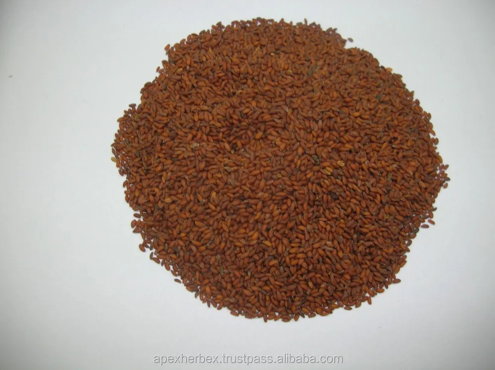 Asalya Seeds Garden Cress Seeds (Lapidium Sativam) for Consumption ...