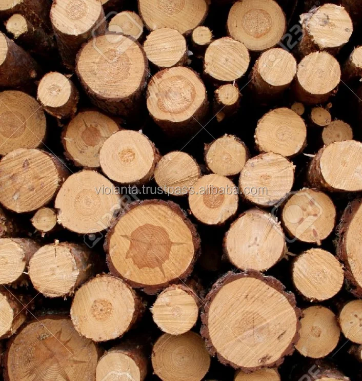 RUSSIAN Timber Log / Sawlogs /Wood Round Logs / Lumber /PINE / SPRUCE ...
