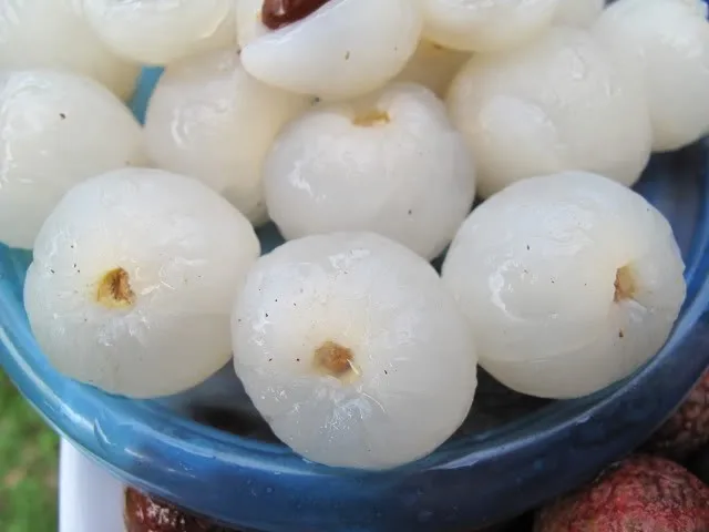 Rambutan Peeling And Pitting Machine Pre-treatment Production Line Peel ...