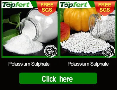 Potassium Sulphate (SOP) - Topfert Fertilizer 98% Purity