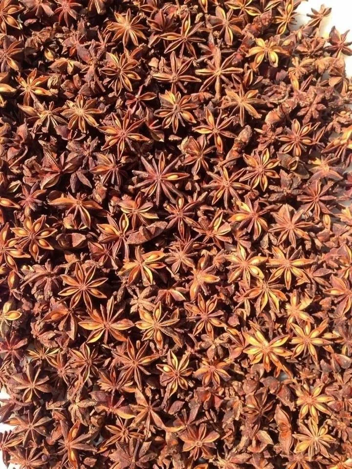 STAR ANISEED SPRING NATURAL COLOR ORIGIN FROM VIETNAM| Alibaba.com
