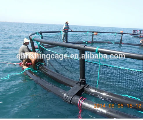 Cage Aquaculture - Deepsea Floating Cages for Fish Culture