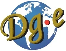 Company Overview - DIGI.E PTE. LTD.