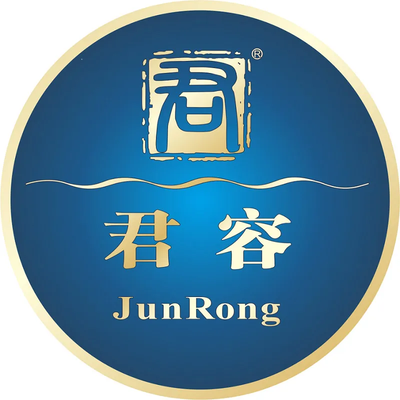 Company Overview - Dongguan Junrong Information Technology Co., Ltd.