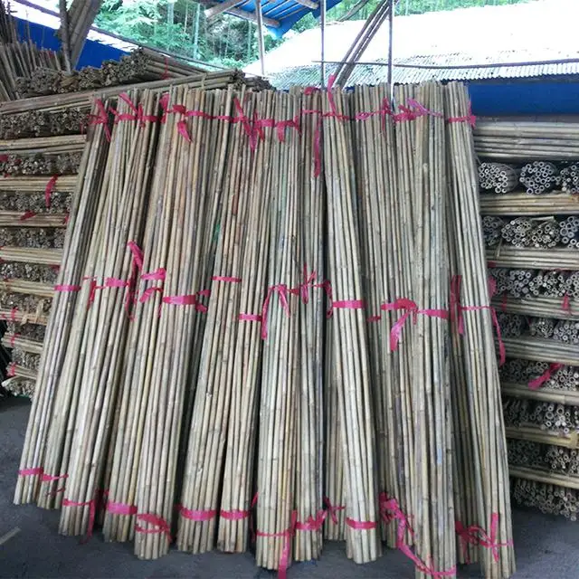 Wholesale Bamboo Cane Bamboo Poles Bamboo Fence From Vietnam For Sale ...