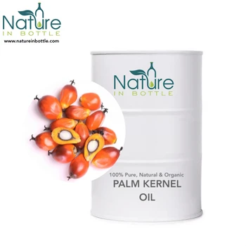 Palm Kernel Oil | Organic Elaeis Guineensis Kernel Oil - 100% Pure And ...
