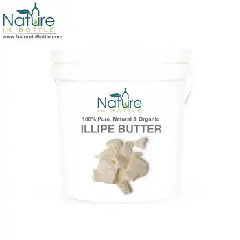 Organic Illipe Butter | Shorea Stenoptera Seed Butter - 100% Pure And ...