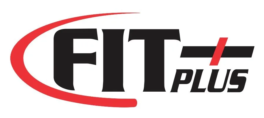 Company Overview - FIRST FITNESS INDUSTRIES