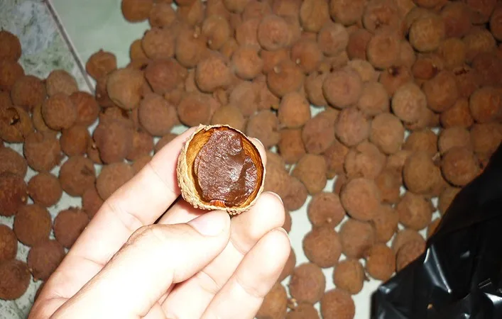 Premium Dried Lychee Fruit - Organic Brown Lychee for Bulk Purchase ...