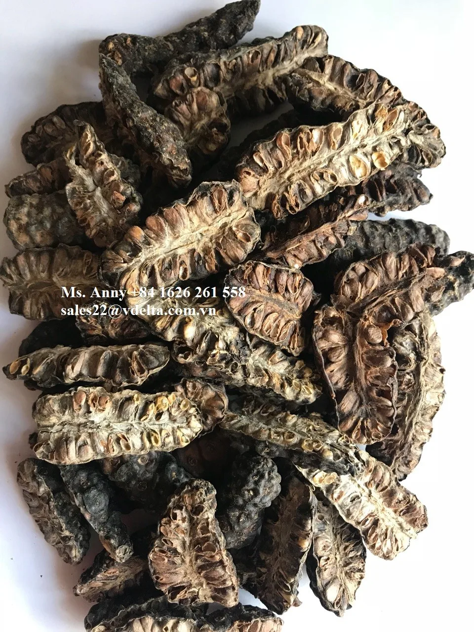 Fresh Noni Fruit /dry Noni For Sale - Whatsapp: +84-845-639-639 - Buy ...