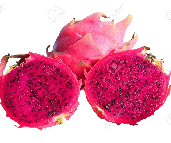 Red Dragon Fruit - High Quality Vietnam Tropical Fruit (ms. Jennie ...