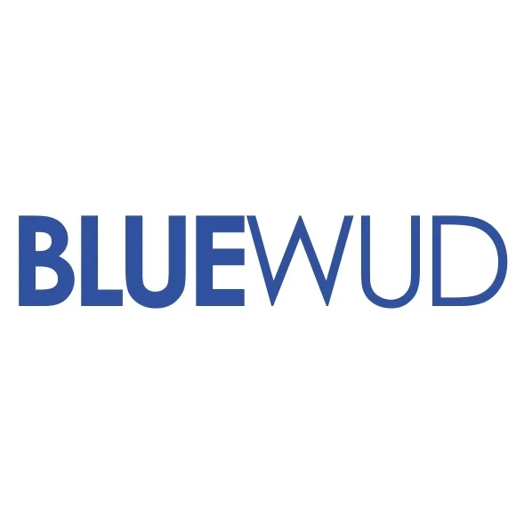 Company Overview - BLUEWUD CONCEPTS PRIVATE LIMITED