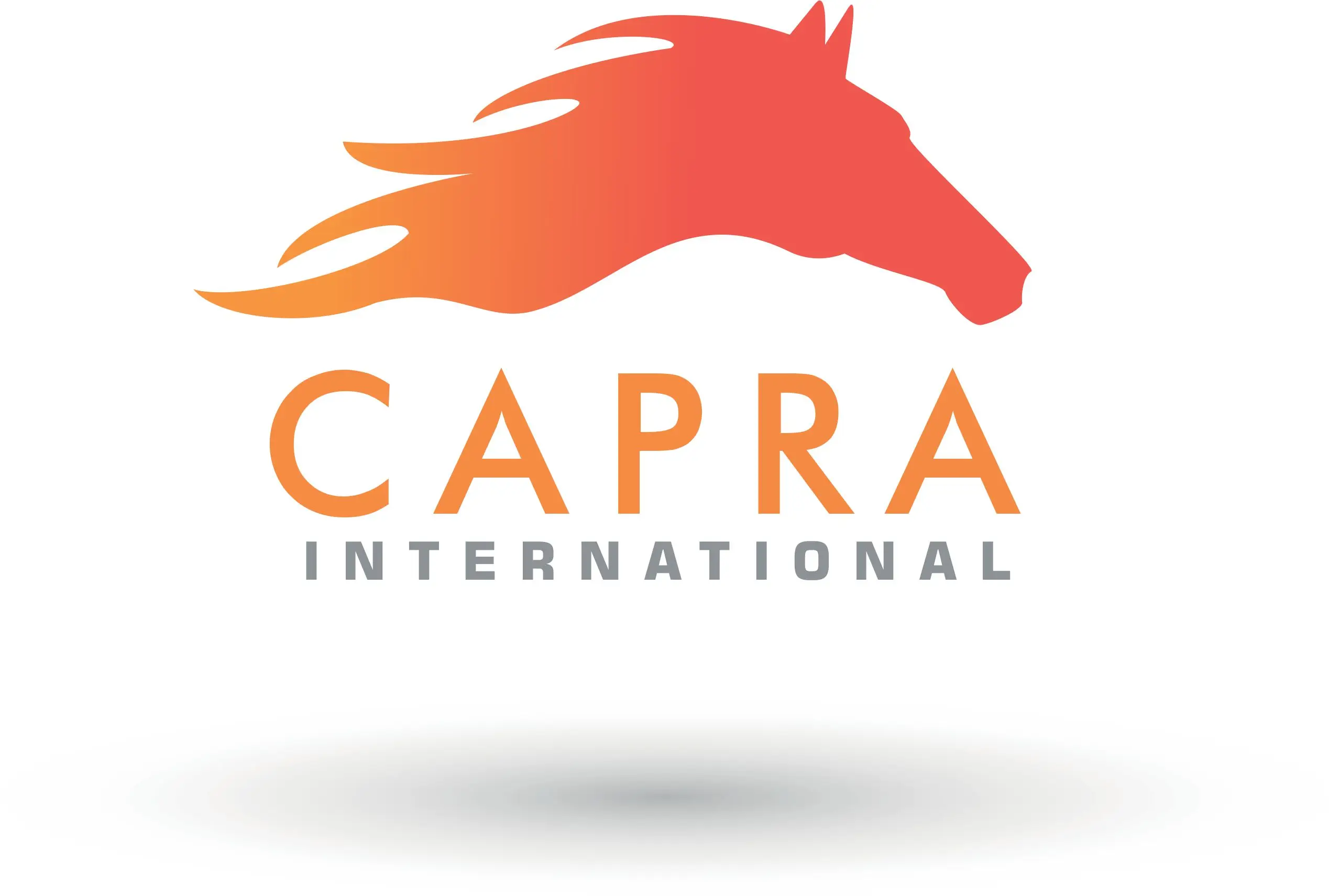 Company Overview - CAPRA INTERNATIONAL