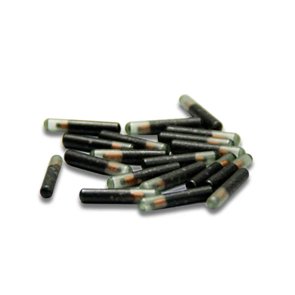 Custom Rfid Mini Tags Passive Logo Printing 13.56mhz Animal Rfid ...