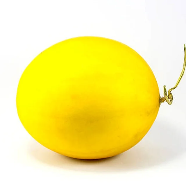 VIETNAM GOLDEN HONEY DEW MELON | FRESH FRUIT - Ms. Esther (WhatsApp ...