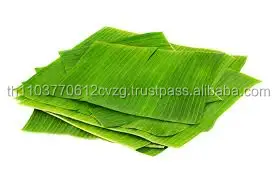 Fresh Banana Leaf Export - Premium Grade from Thailand