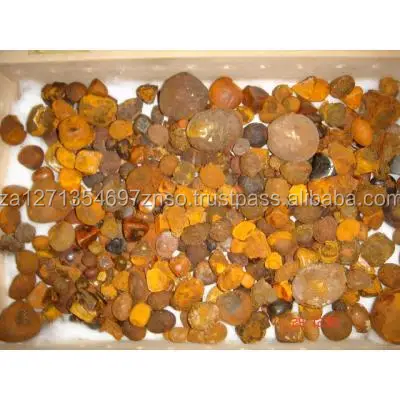 Natural Ox Gallstones - Top Quality for Food & Medicine