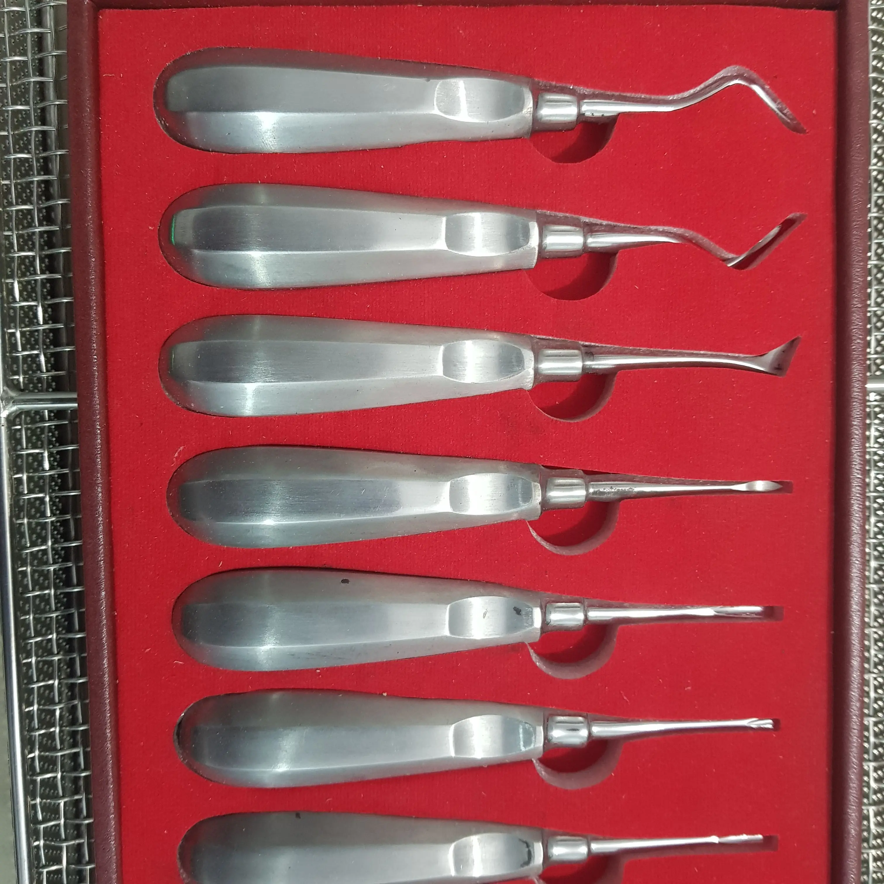 Dental Root Elevator Set of 11 - Precision Extraction Tools