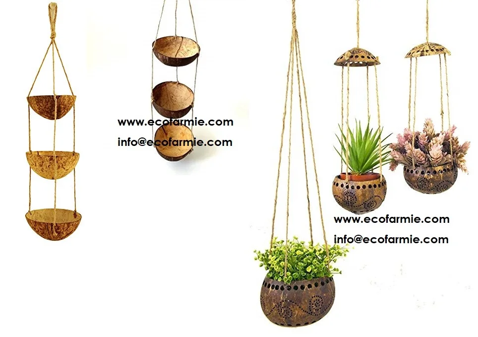 Coconut Shell Pots For Mini Plants Coco Shells Flower Handmade Garden ...