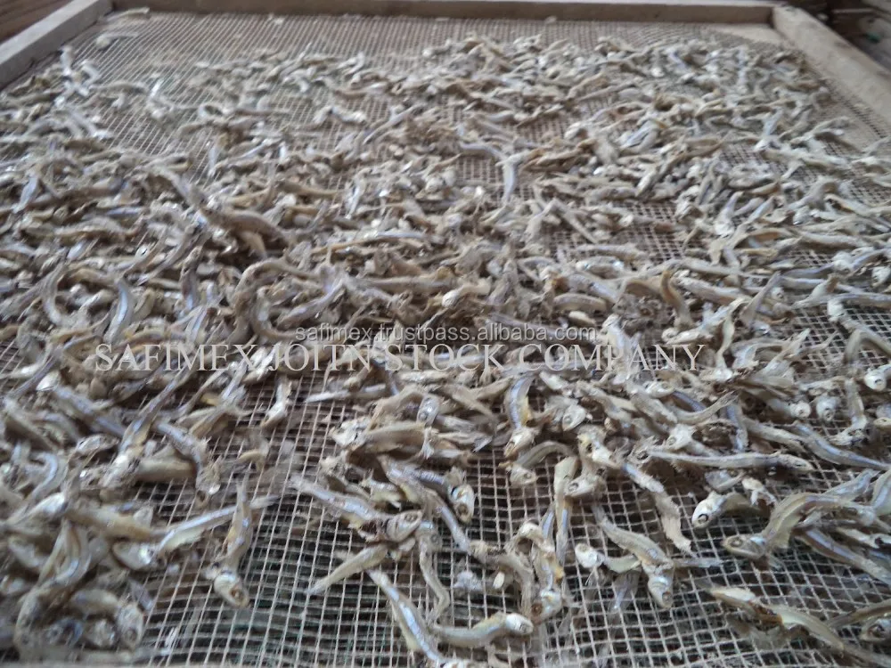 Dried Seafood Anchovy Fish Bulk Packing High Quality From Vietnam/Dried ...
