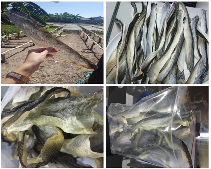 PREMIUM DRIED COD SKIN FROM VIETNAM HOT DEAL 2024 WITH HIGH QUALITY ...