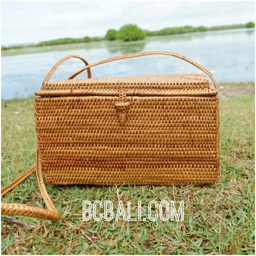 Organic Grass Rattan Hand Woven Bags Purses Handmade Leather Handle ...