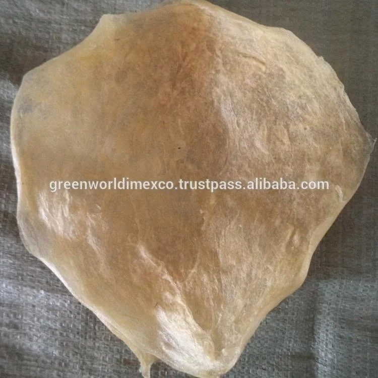 HIGH QUALITY DRIED FISH MAW / DRY SWIM BLADDER OF FISH BEST PRICE ...