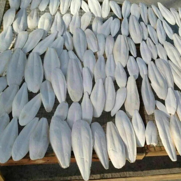 Sepia Cuttlefish Bone For Birds & Reptiles - Axel +84 38 776 0892 - Buy ...