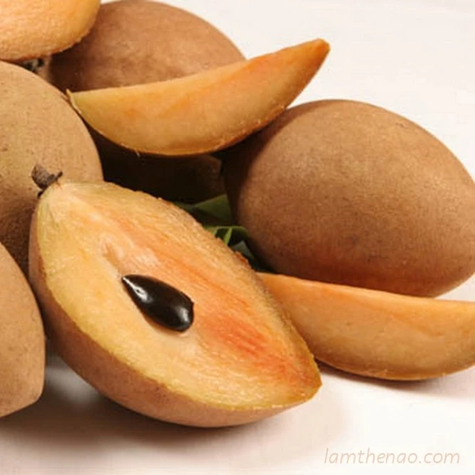 Fresh Sapodilla / Sapota Fruit - Vietnam Delicious Sweets - Tropical ...