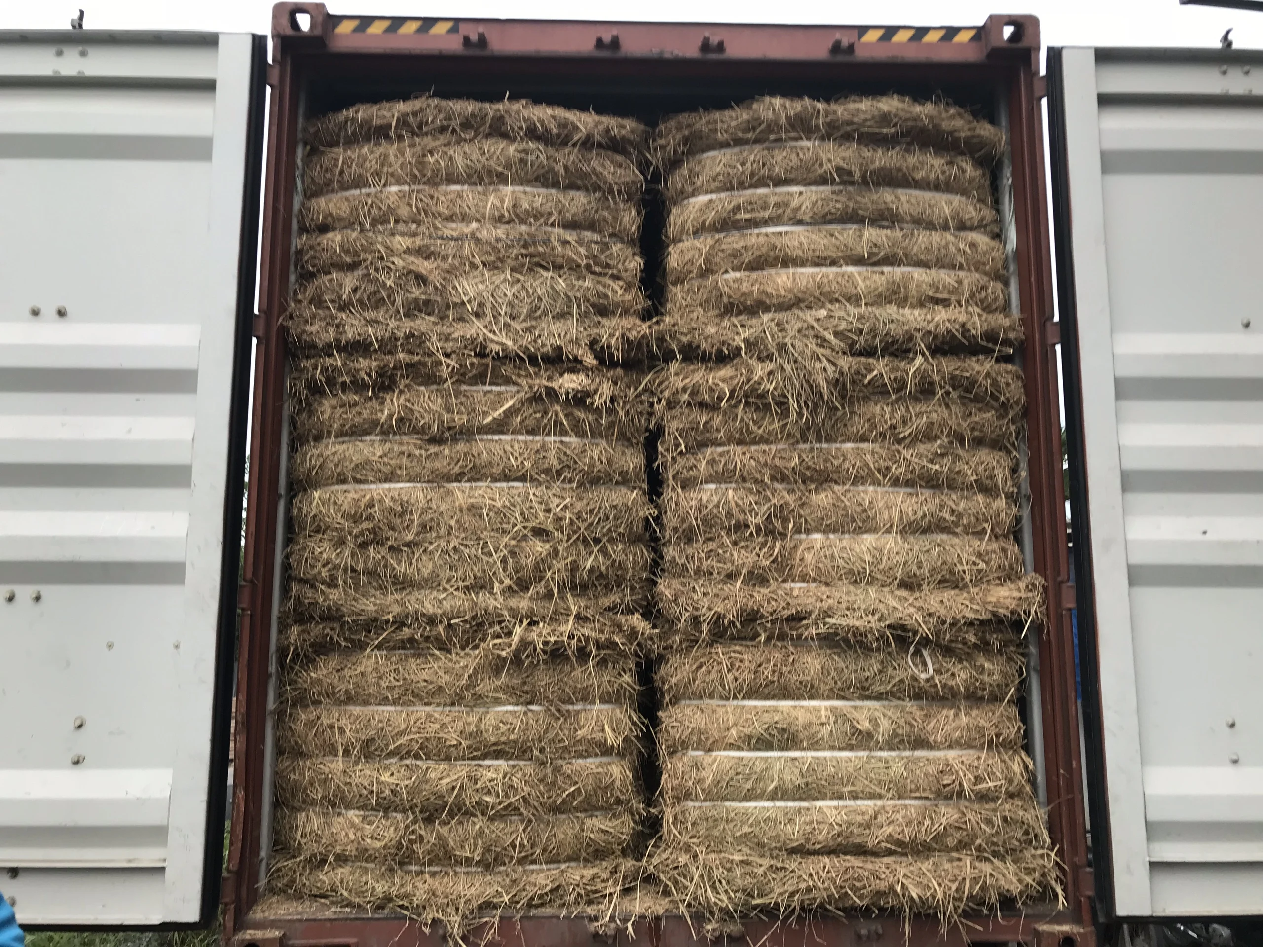 Dried Yellow Rice Straw- Paddy Residues- Feeding For Livestock - Buy ...