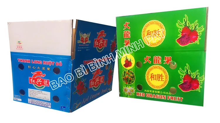 Customized Fresh Fruit Export Packaging - Durable & Eco-friendly