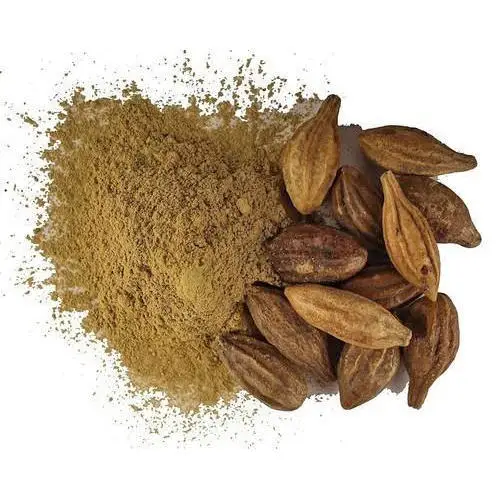High Quality Pure Natural Myrobalan Extract - Terminalia Chebula Fruit ...
