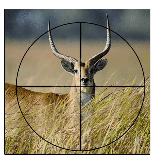 8-32X56SFIRF Scope Sight 1000G Waterproof Red Green Illuminated Reticle ...