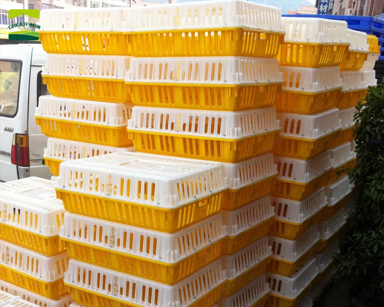 Live Chicken Transport Cages for Sale - Durable & Efficient
