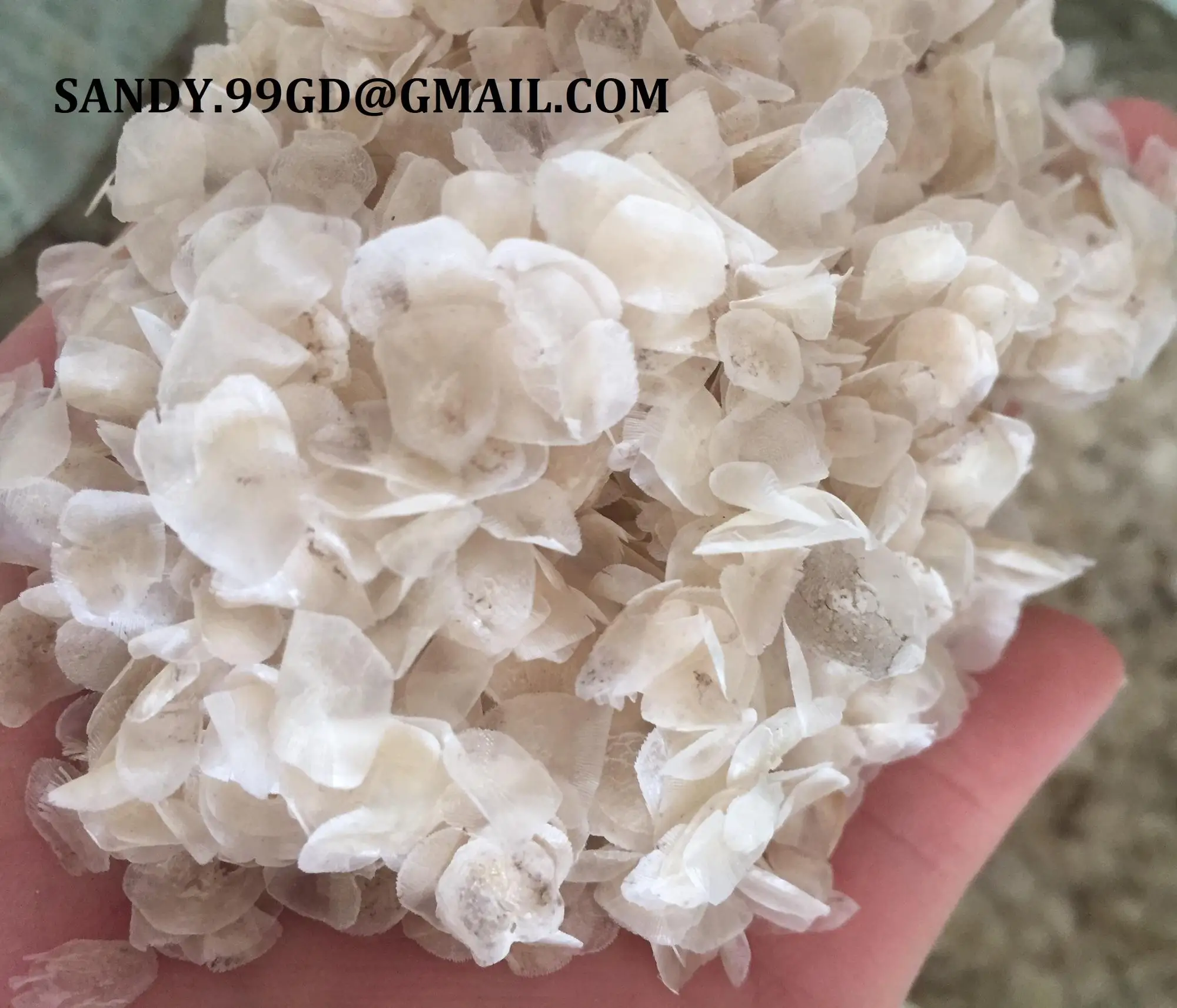 Wholesale Dried Fish Scale for Collagen Production from Vietnam