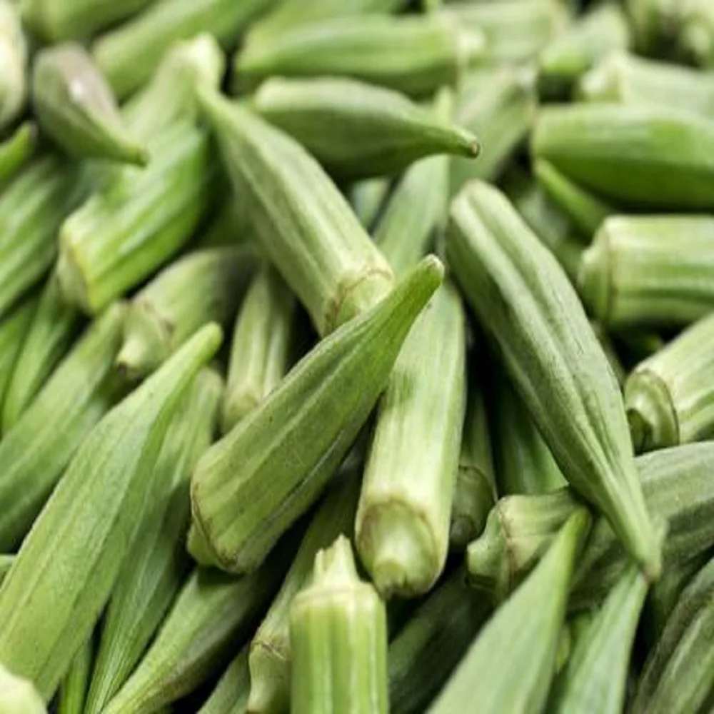 Fresh Indian Okra - Buy Fresh Okra For Sale Product on Alibaba.com