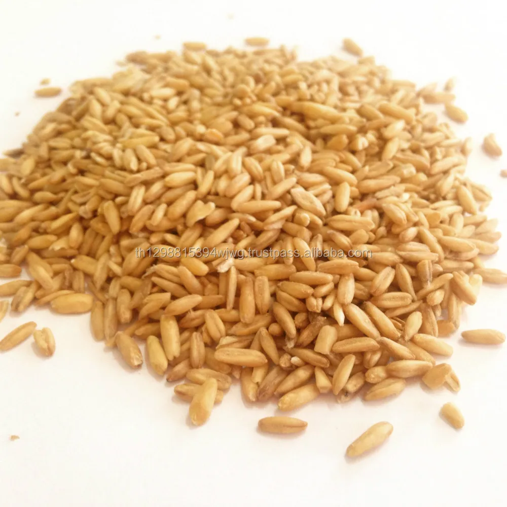 Animal Feed Oats - Buy Oats For Sale Product on Alibaba.com